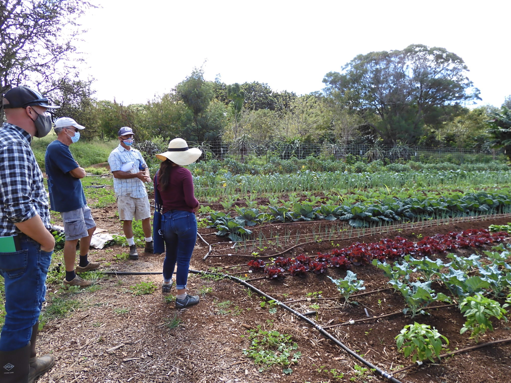 Farm Apprentice Mentoring (FAM) Program - Hawaii Farmers Union United
