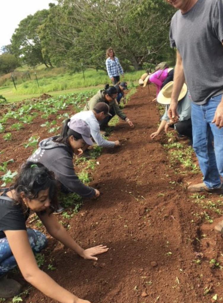 Farm Apprentice Mentoring (FAM) Program - Hawaii Farmers Union United